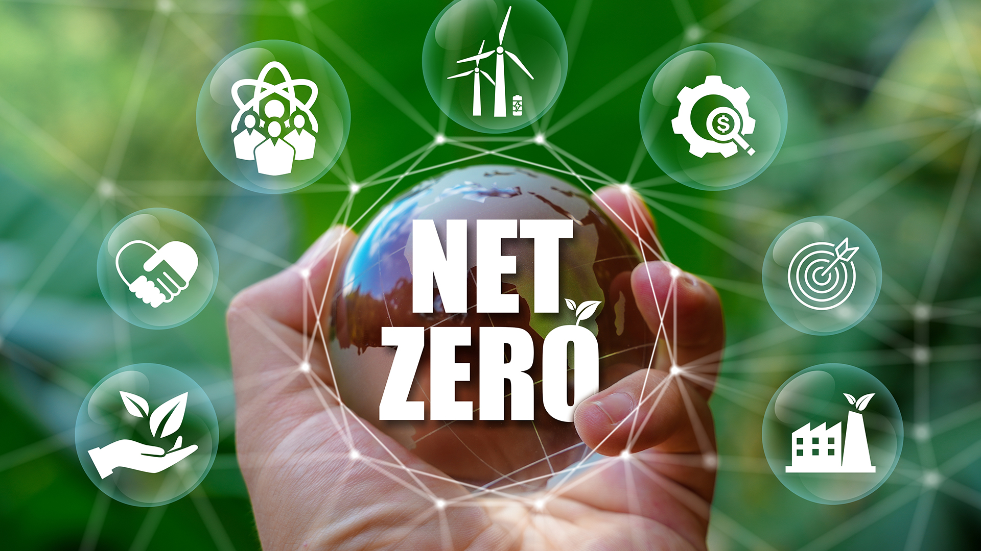 Sustainability Solutions – Climate Detox